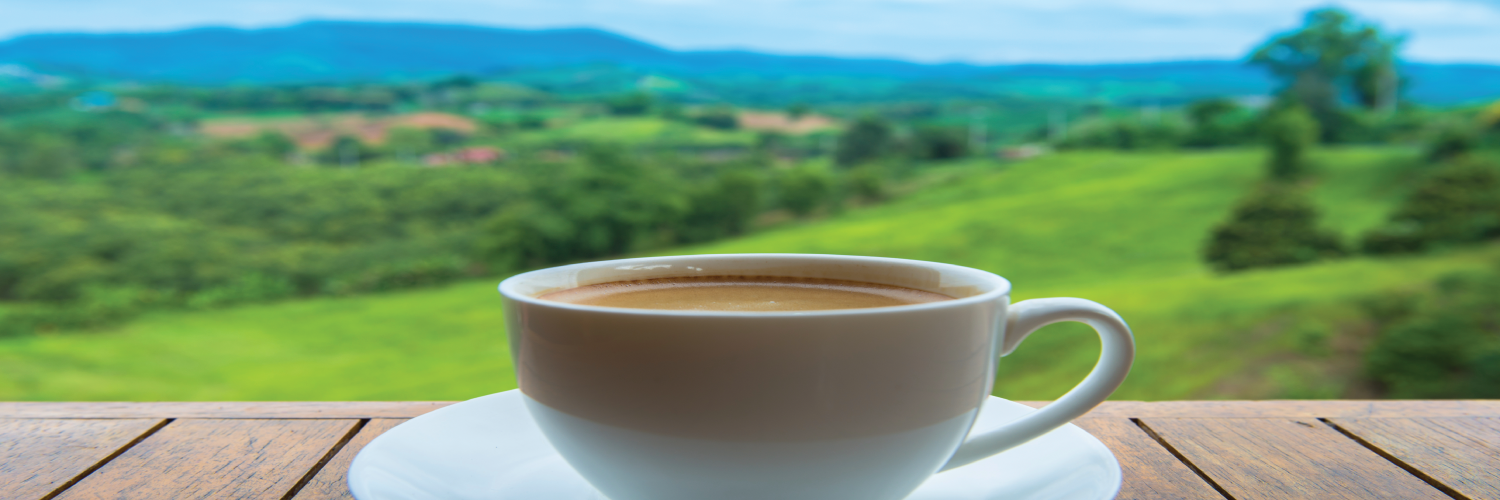 Aroma Coffee Roasters · Atomic Leg Kick · Be WellBrewed™